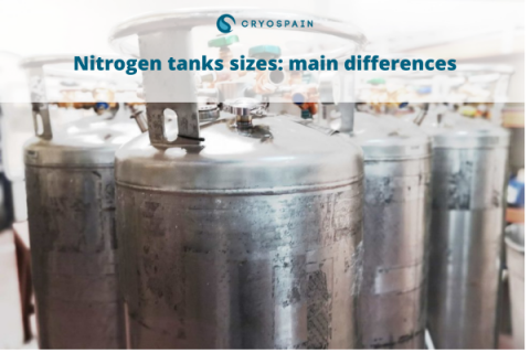 Nitrogen tanks sizes: main differences