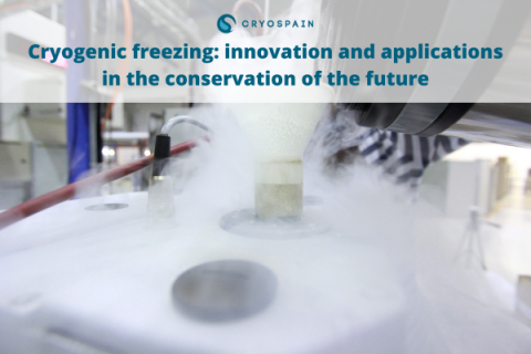 Cryogenic freezing: innovation and applications | Cryospain